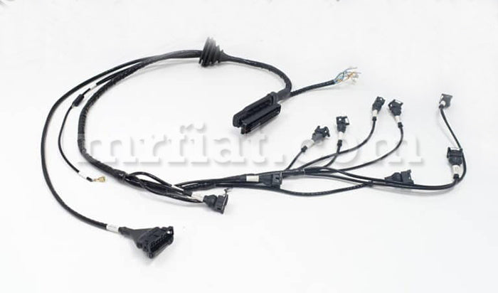 Fiat 124 Spider Wiring Harness Fuel Injection 1979-85 – MrFiat